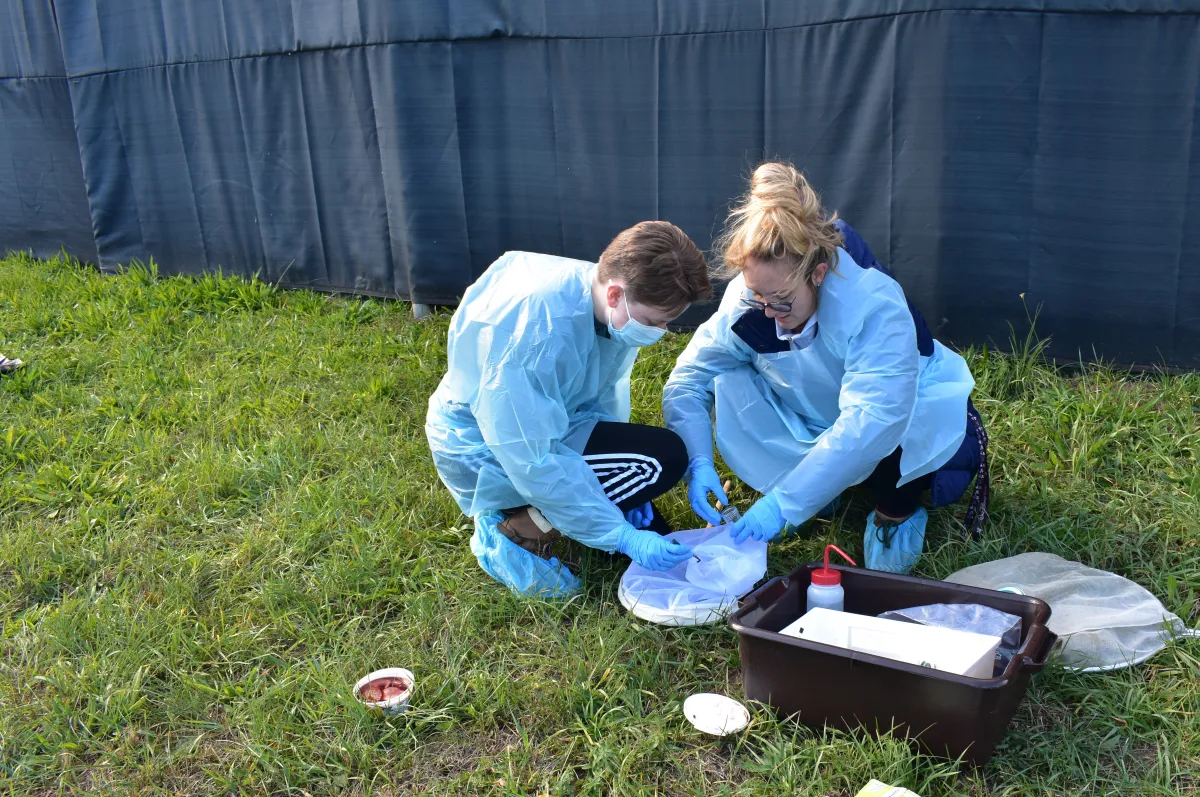 Forensic Biology | Department of Biology